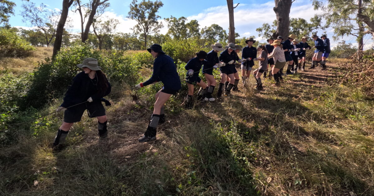 Carey Zero update | Carey Baptist Grammar School