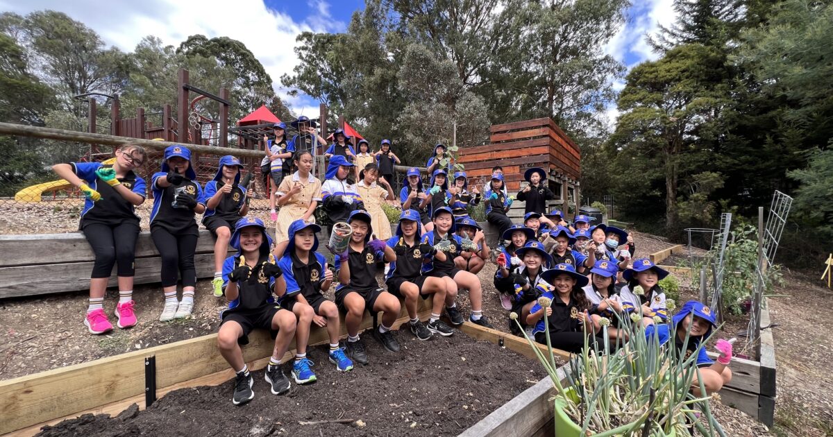 Carey’s Exciting Journey to Net Zero | Carey Baptist Grammar School